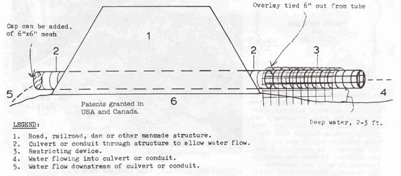 Unexpected Wildlife Refuge