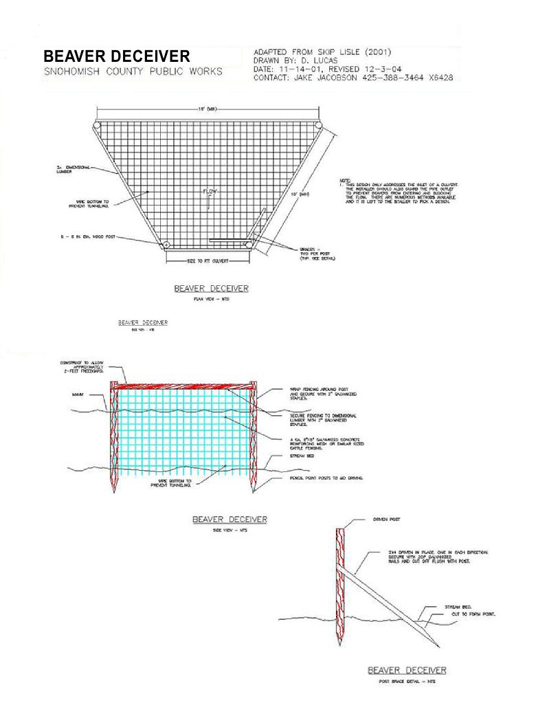 Unexpected Wildlife Refuge